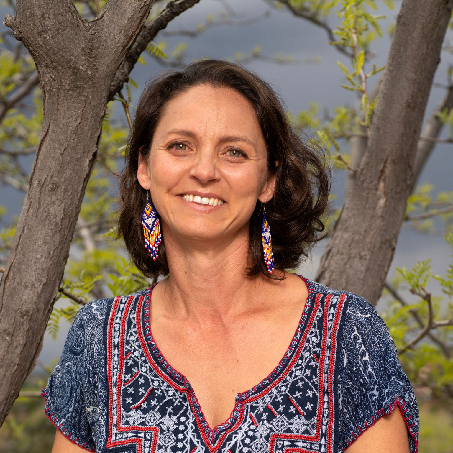 Online Shamanic Courses & Training with The Power Path - The Power Path