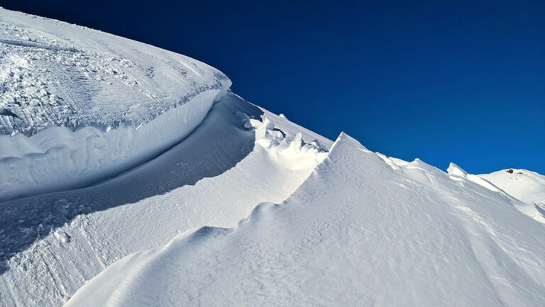 Articles by José Stevens Archives - The Power Path