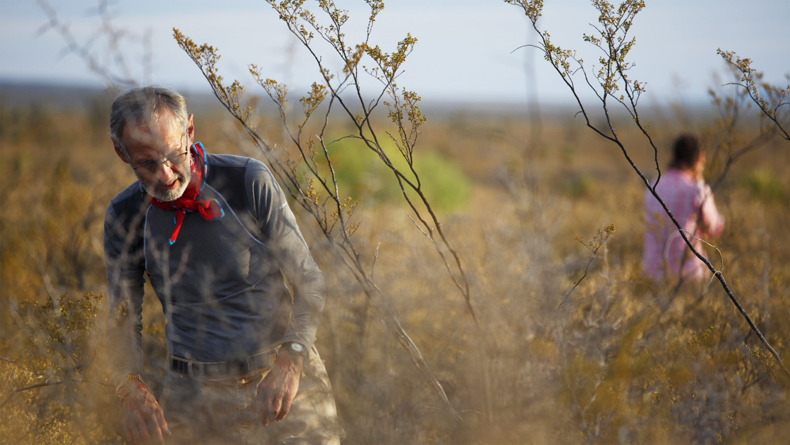 José Luis Stevens, PhD - The Power Path